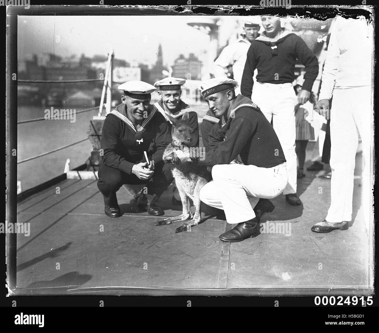 German sailors aboard the cruiser KOLN are pictured with a wallaby ...