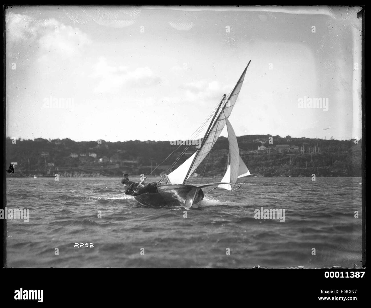 A sloop sailing on Sydney Harbour, capturing the maritime culture and ...