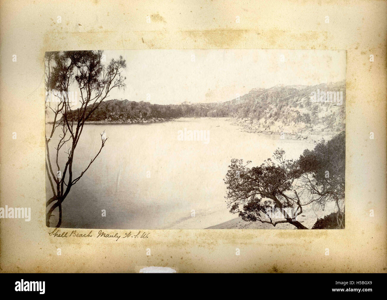 Shell Beach in Manly, New South Wales, is a popular coastal destination ...