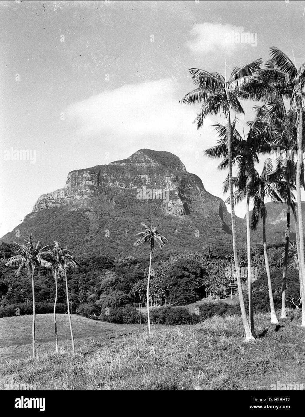 This image presents a view of the landscape at Lord Howe Island, a ...