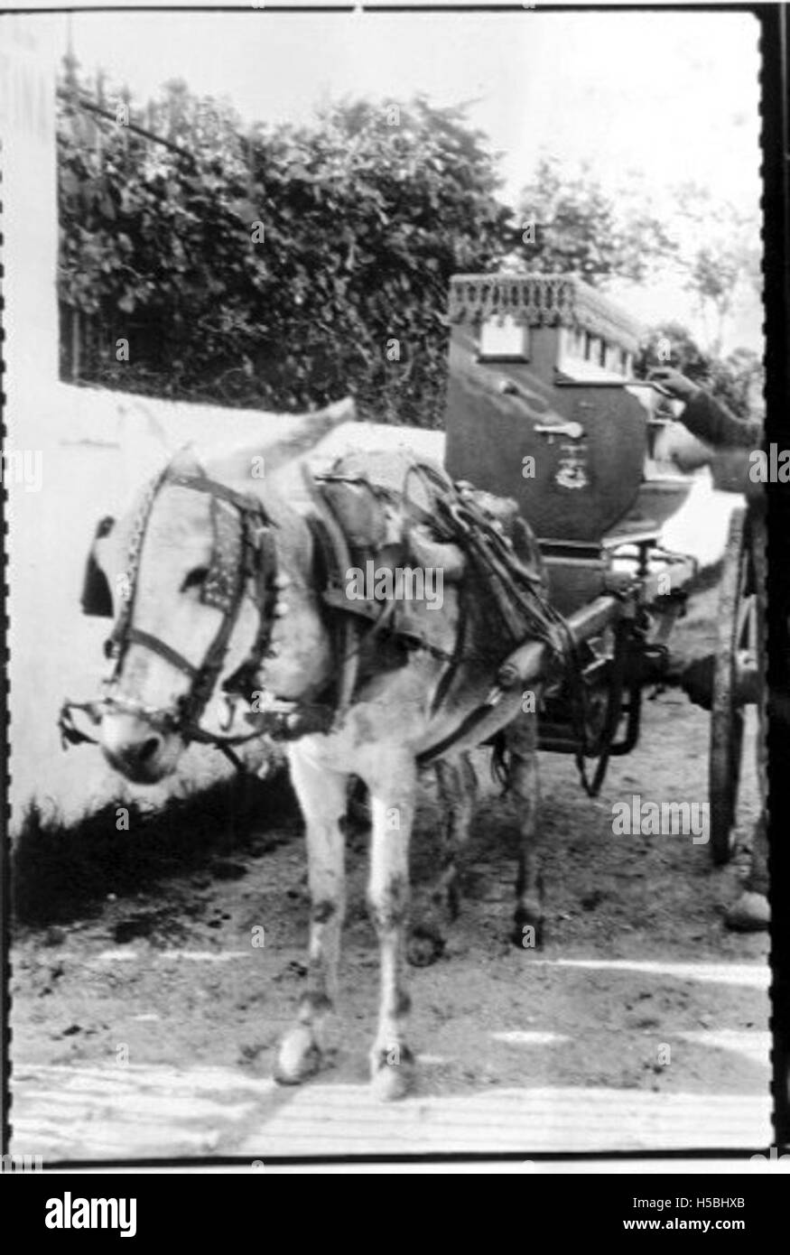 Donkey drawn cart hi-res stock photography and images - Alamy