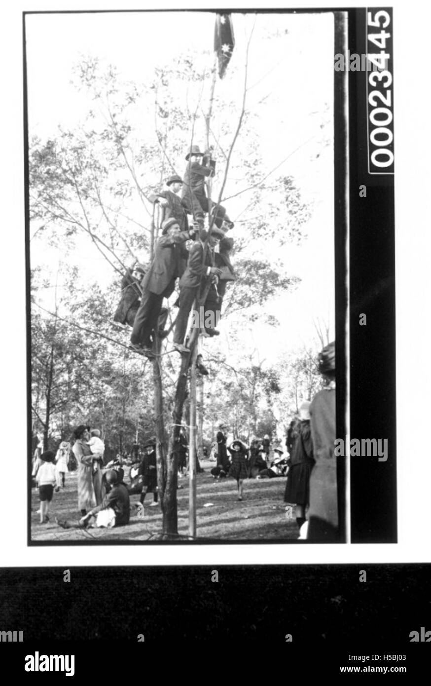 Centuries tree Black and White Stock Photos & Images - Alamy