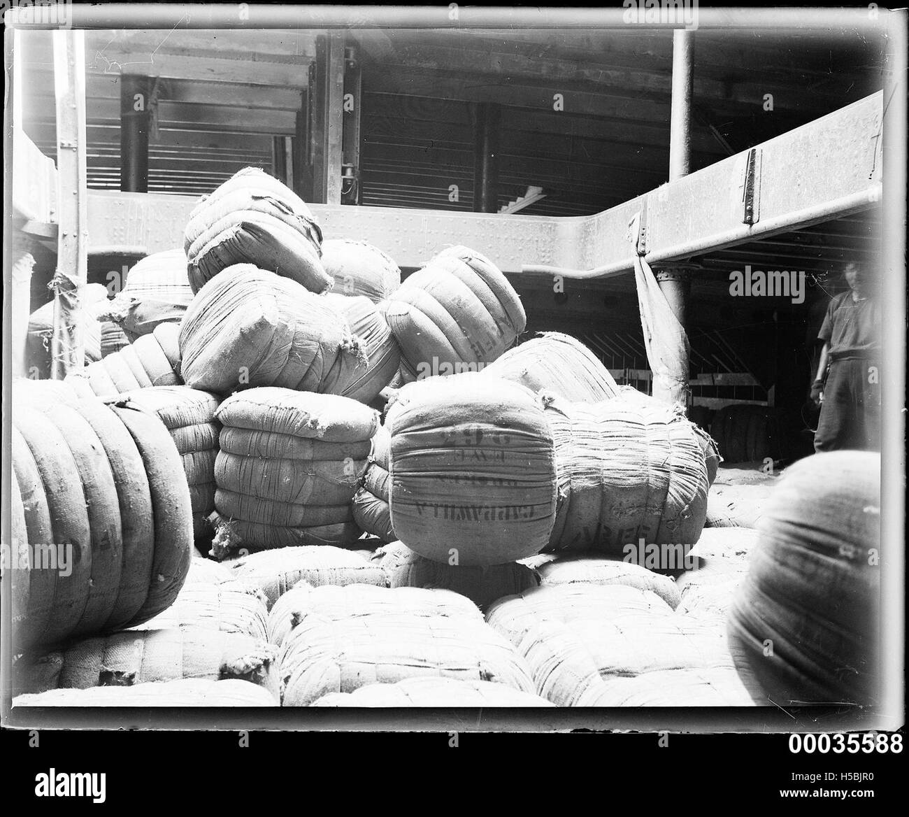 The photograph shows wool bales in the cargo hold of the MAGDALENE ...