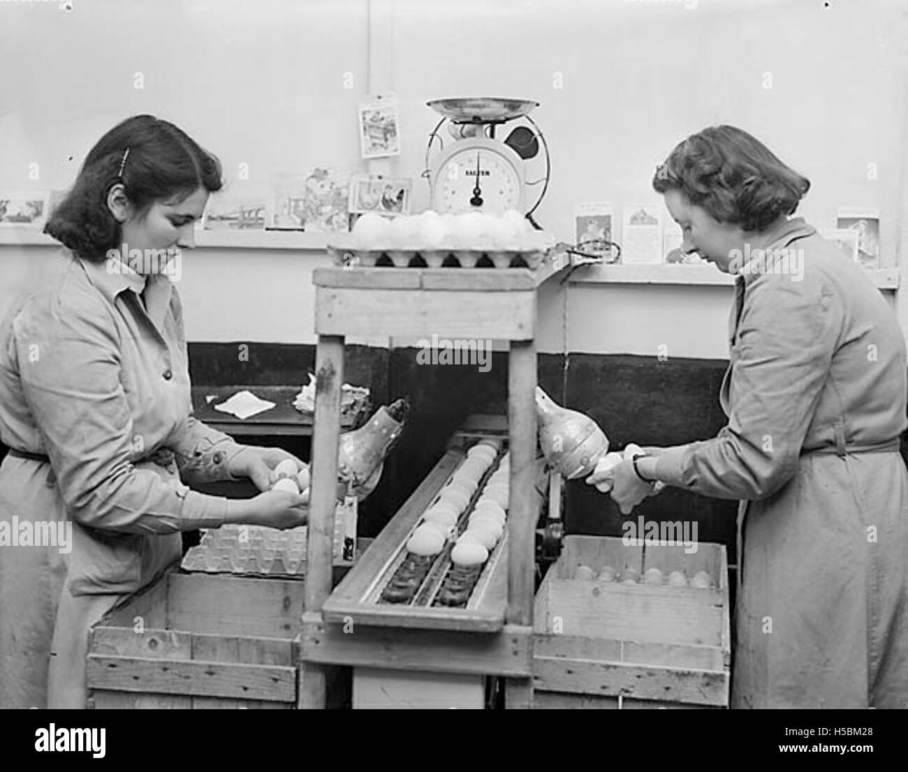 Meirion hi-res stock photography and images - Alamy