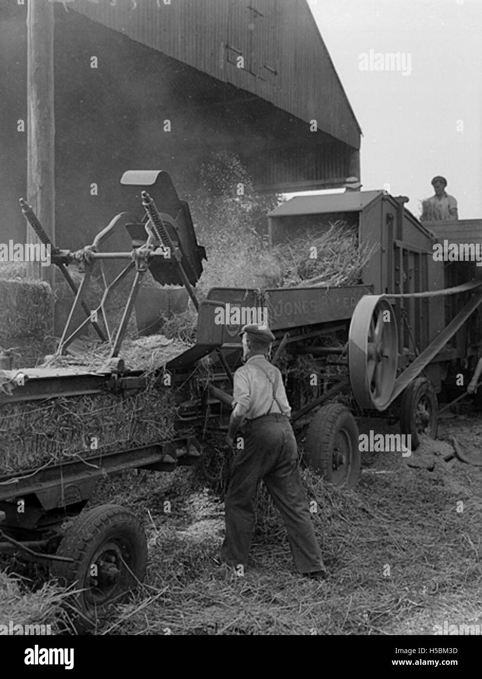 This photograph captures a traditional threshing day, a farm activity ...