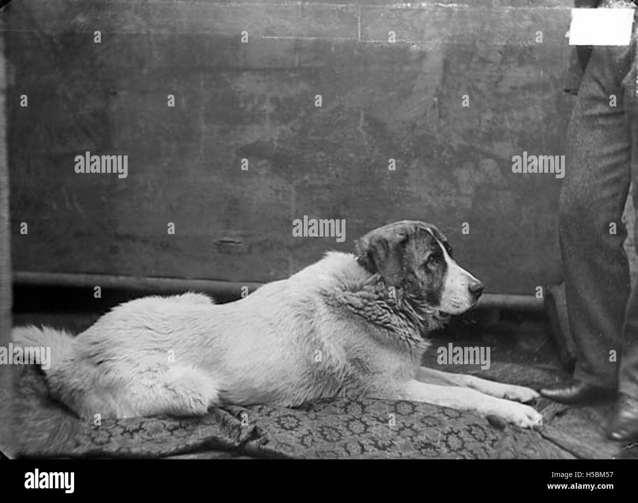 Clifford st hi-res stock photography and images - Alamy