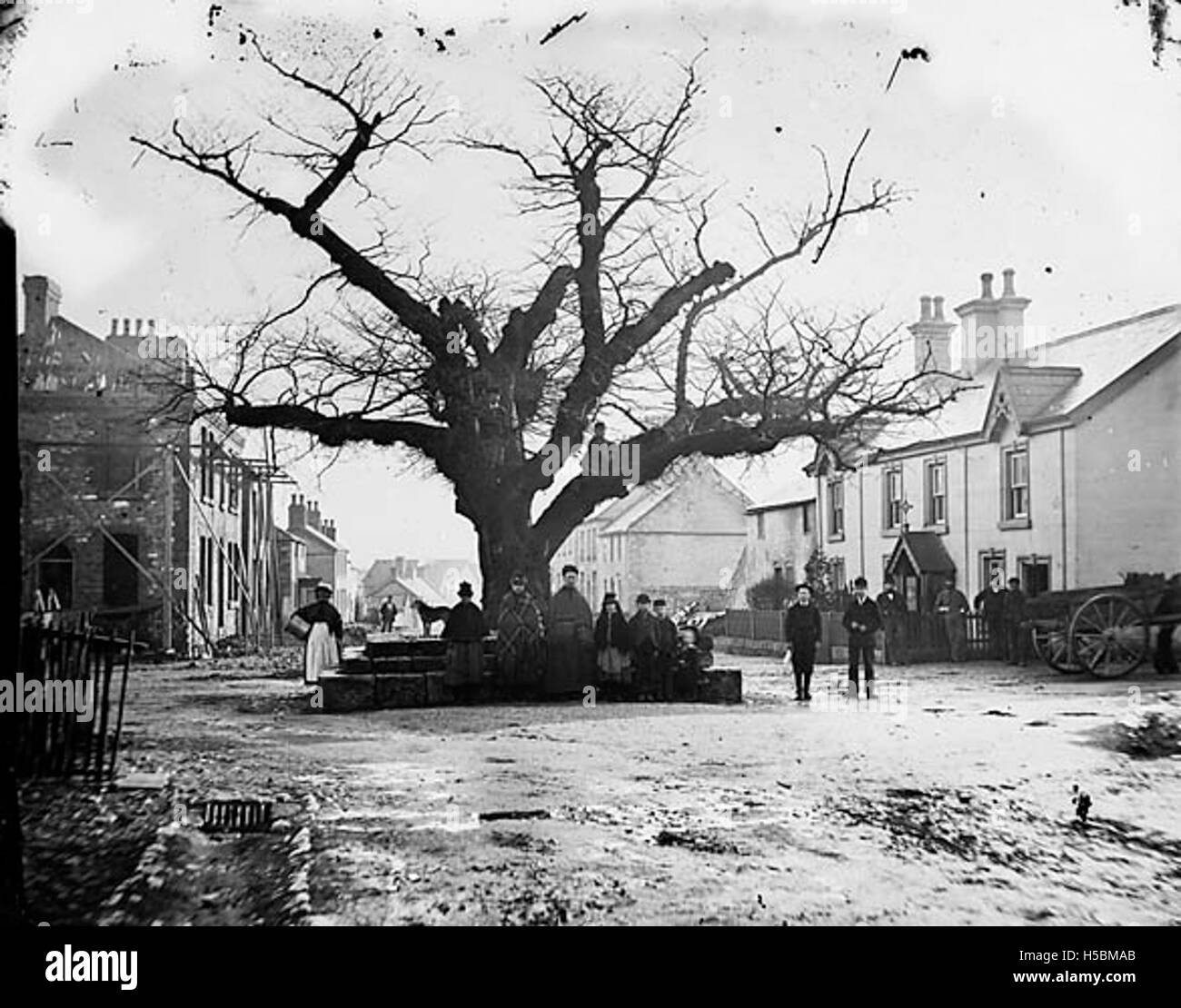 Caerwys High Resolution Stock Photography and Images - Alamy