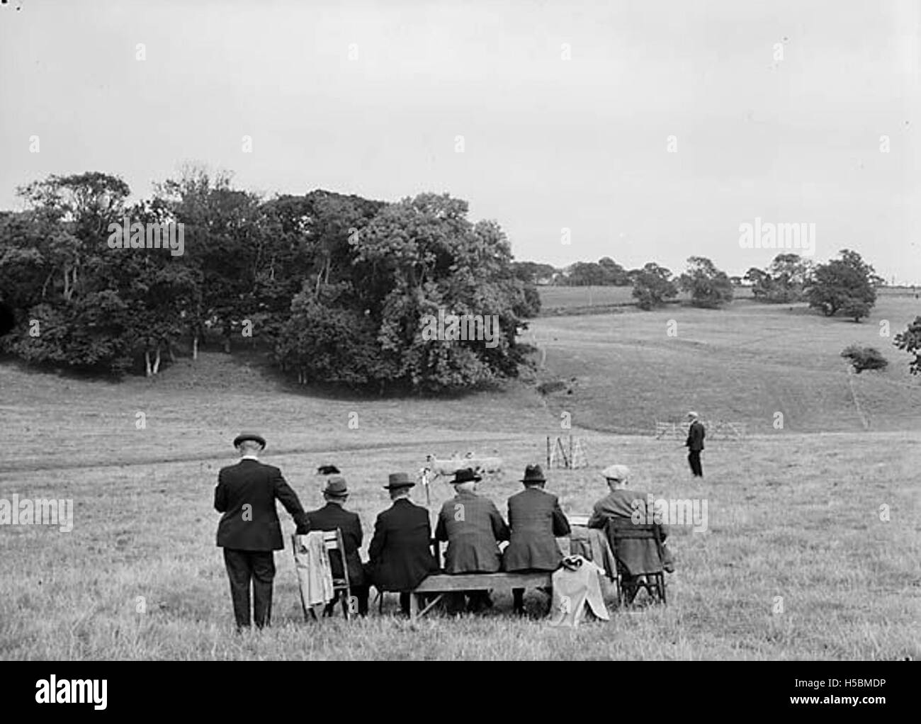 Gower show hi-res stock photography and images - Alamy