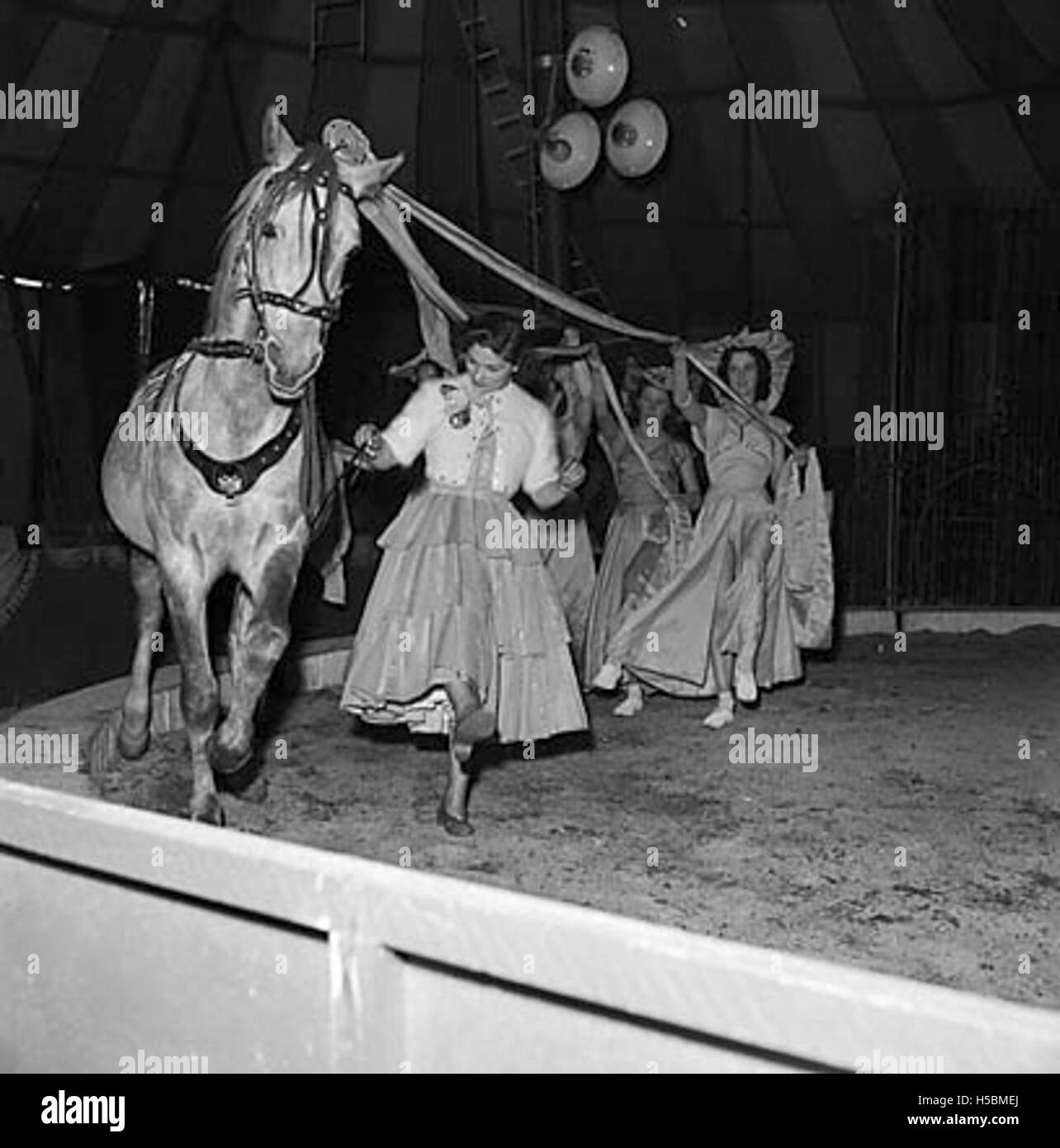 The Robert Bros Circus performed in Welshpool, showcasing a traditional ...