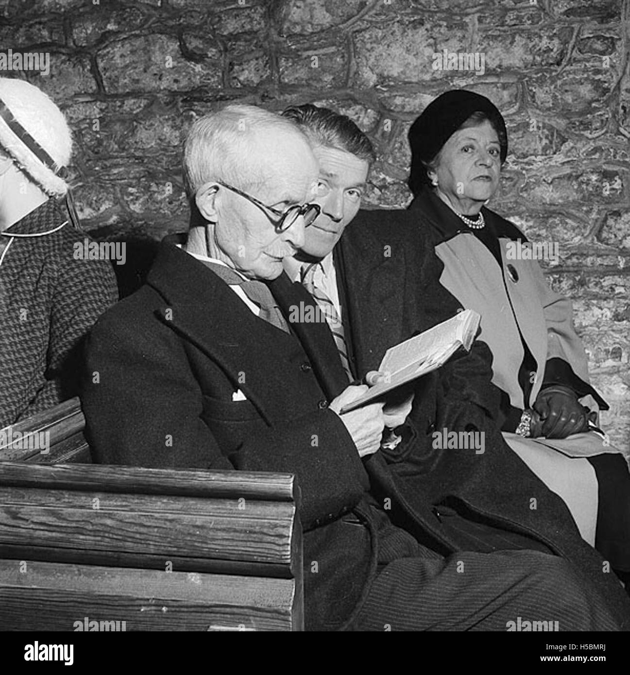 Calan hen hi-res stock photography and images - Alamy