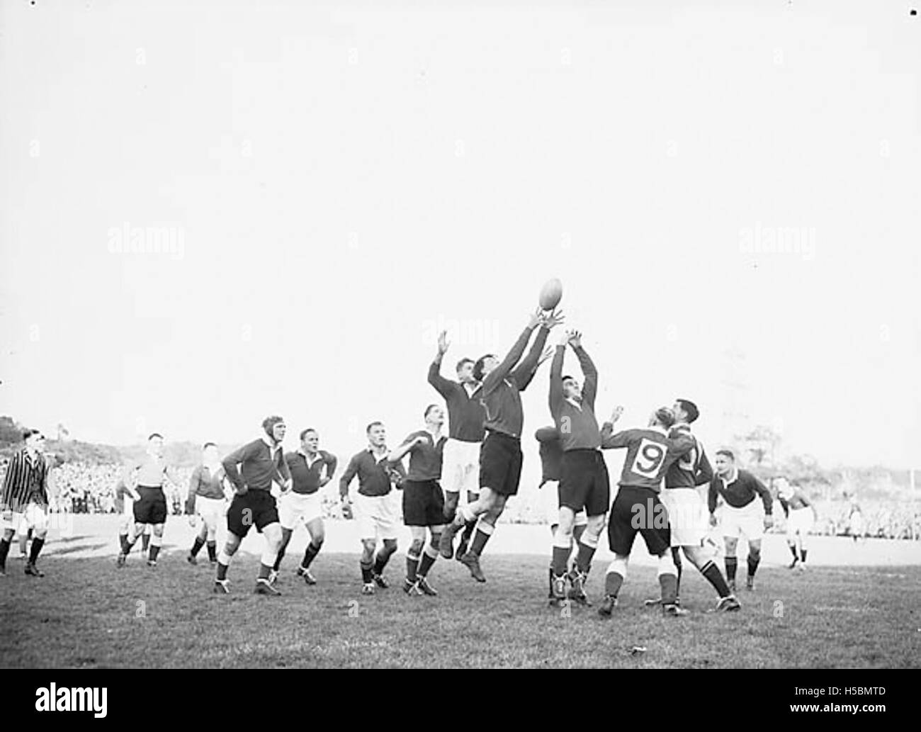 Springbok south african rugby team Black and White Stock Photos ...