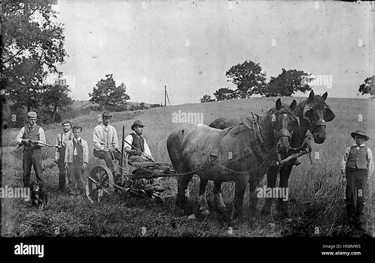 Hay making historic hi-res stock photography and images - Alamy