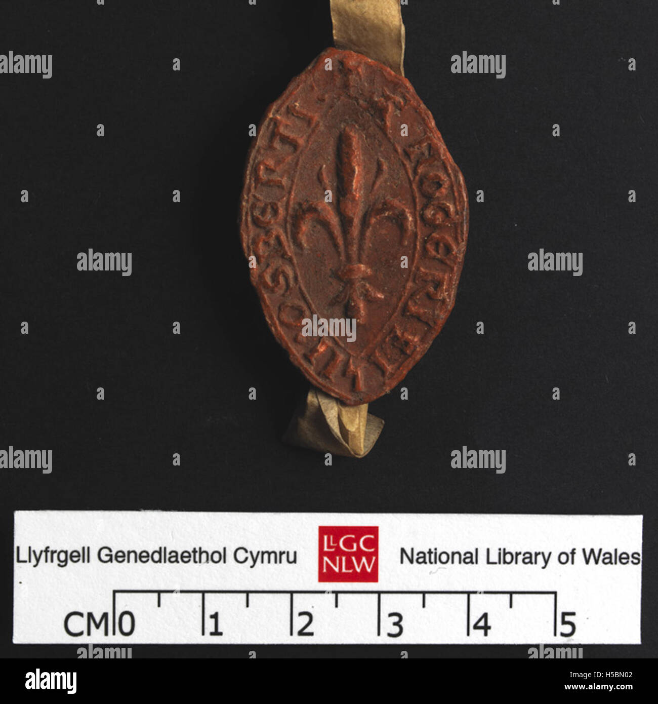 A historical reference to the Pitchford Hall deeds (number 1415 ...