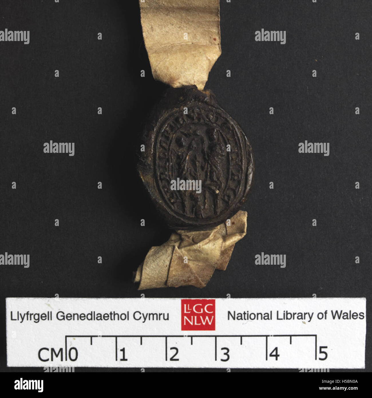 The NLW Pitchford Hall Deeds 1165 are important historical documents ...