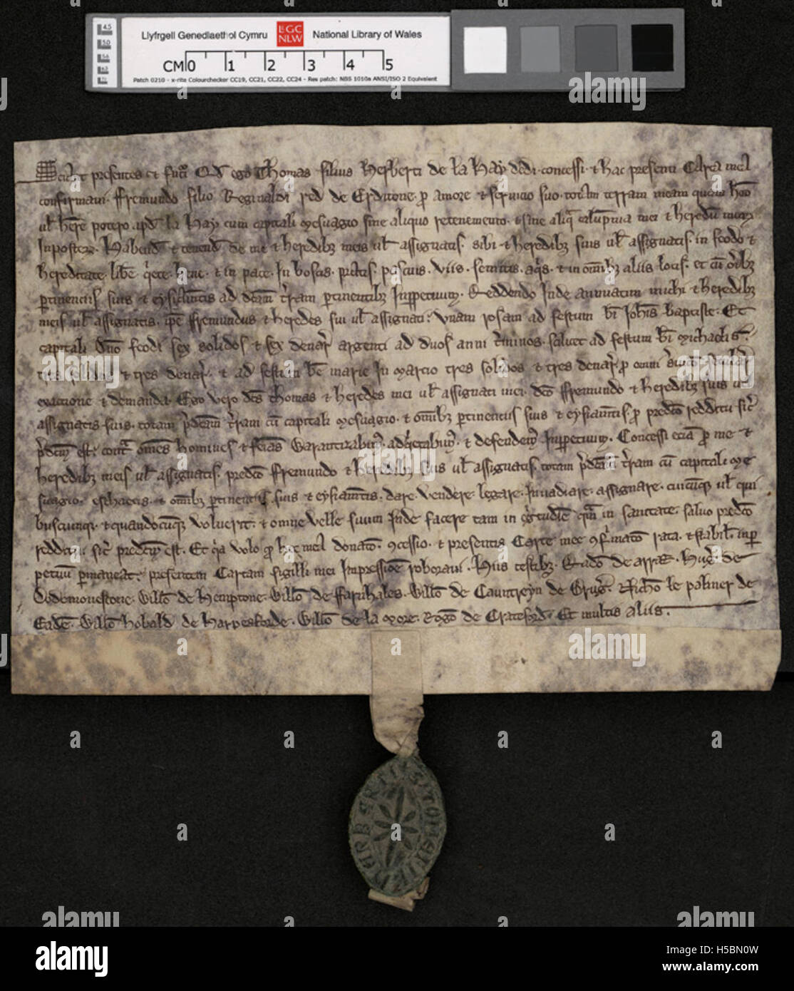 The front page of the Pitchford Hall deeds from 1303, an important ...
