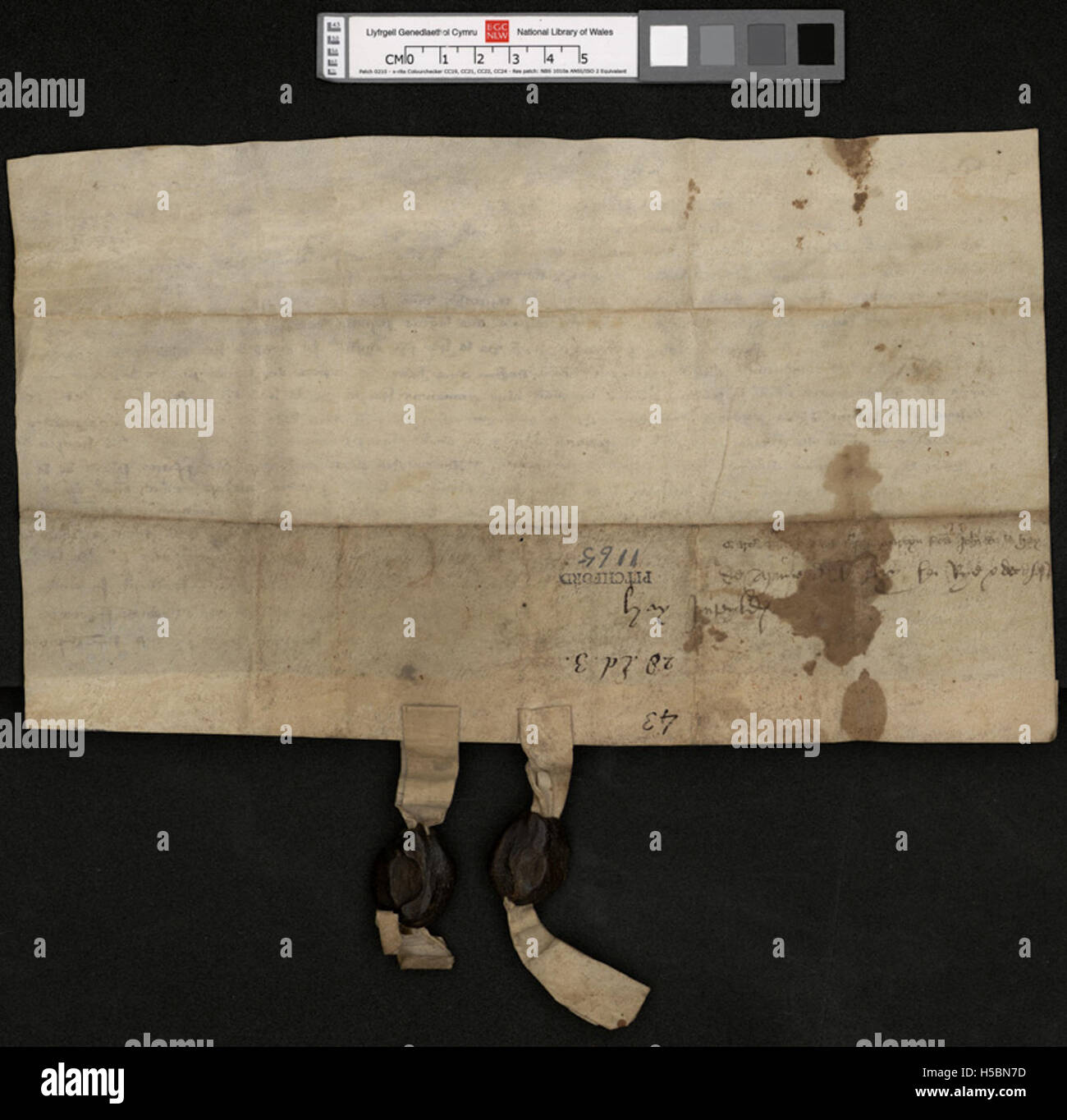 The back of the Pitchford Hall Deeds 1165, a historical document from ...