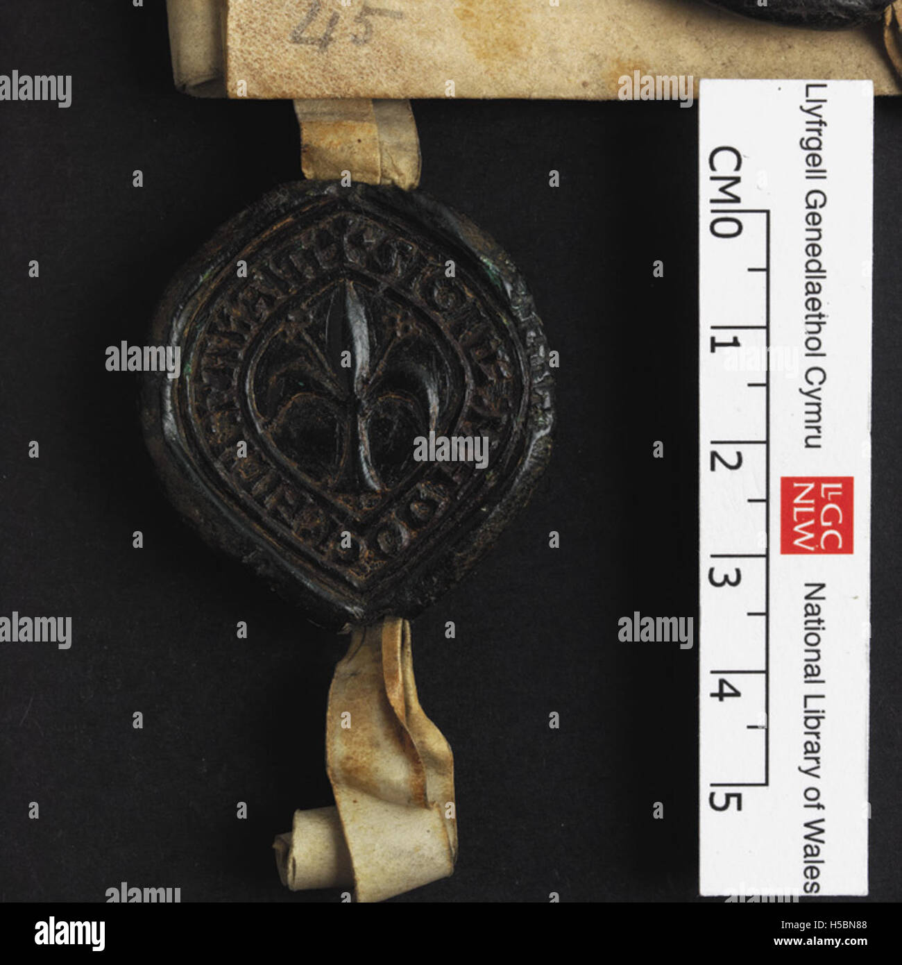 This document represents the Penrice and Margam Deeds from 1973, held ...