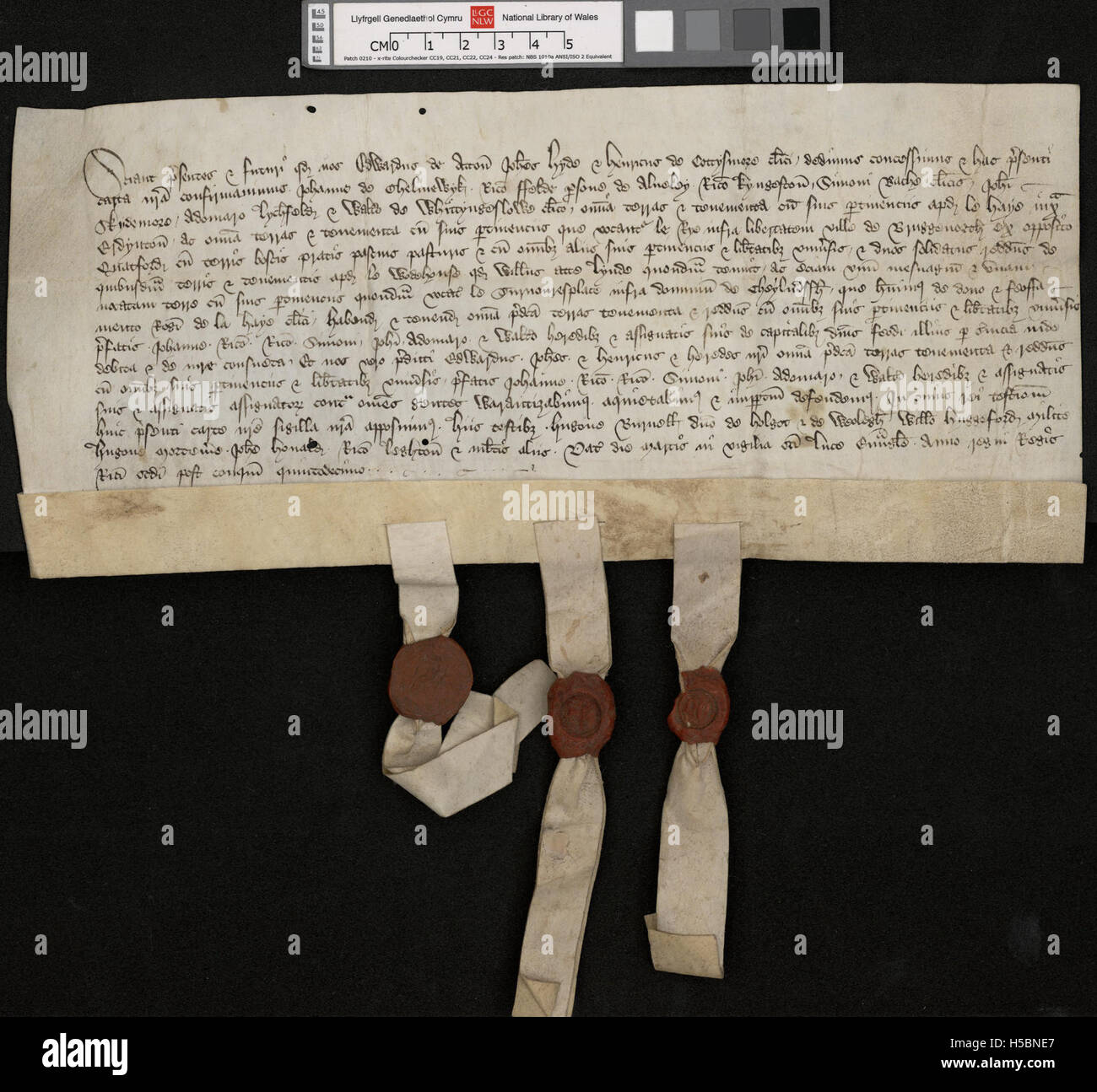 This image shows the front page of the Pitchford Hall deeds, dated 1169 ...