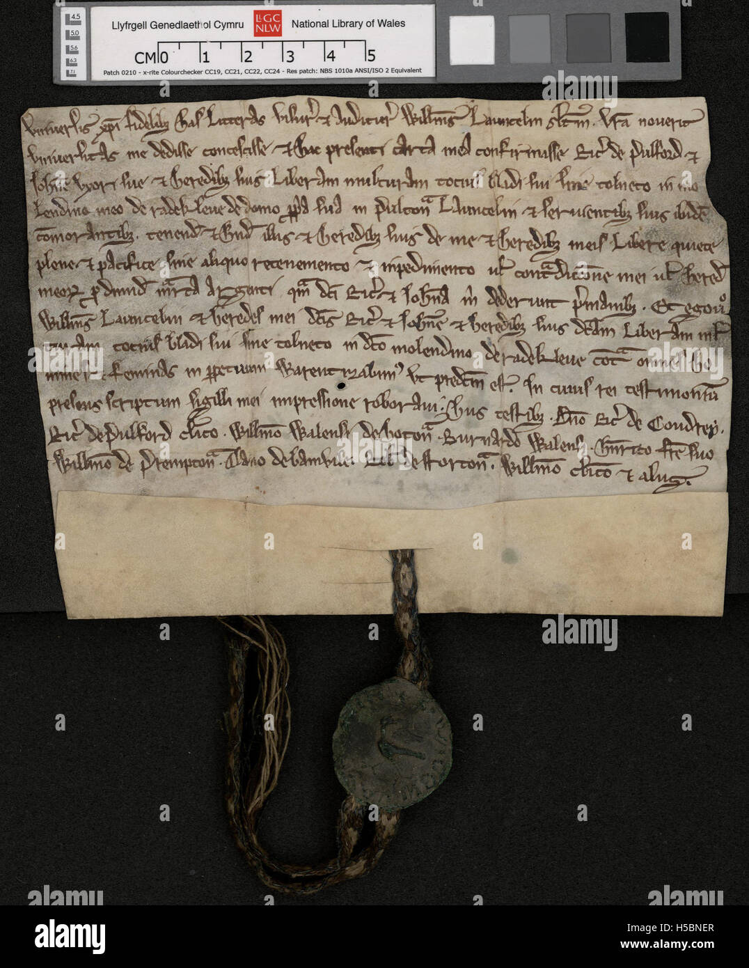 The NLW Pitchford Hall Deeds 1313 are legal documents from the 14th ...