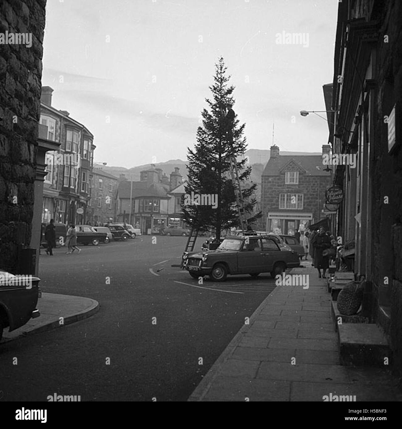 Erecting a christmas tree hi-res stock photography and images - Alamy