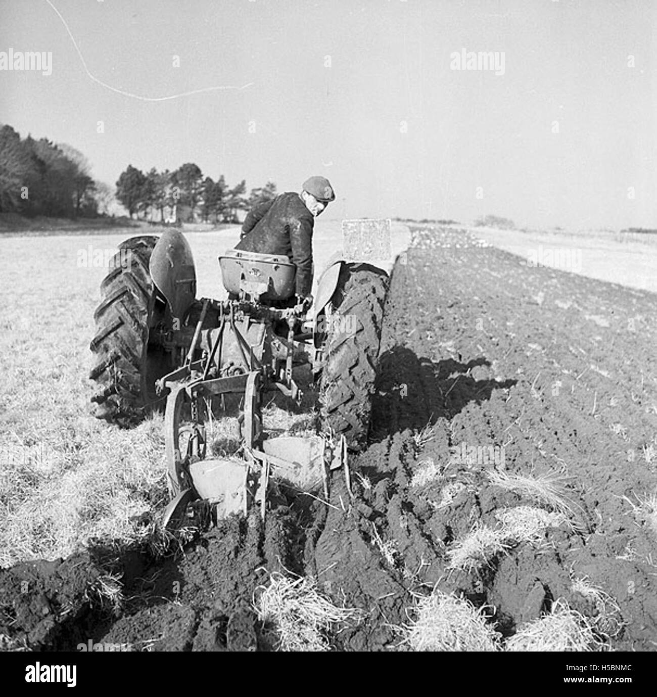 A photo showing ploughing activities in Anglesey, Wales, during ...