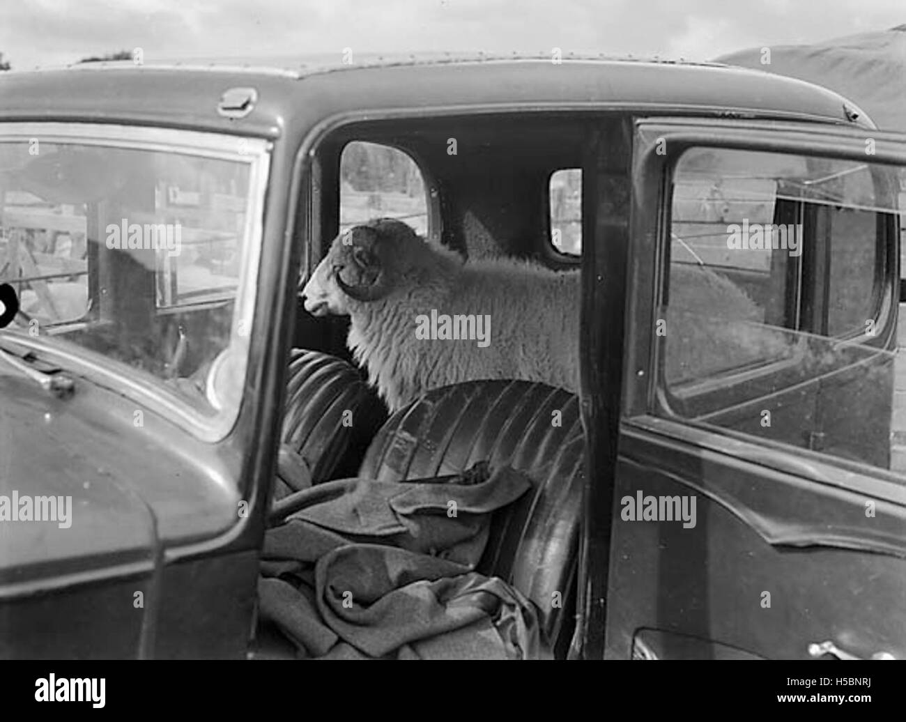 Merioneth history hi-res stock photography and images - Alamy