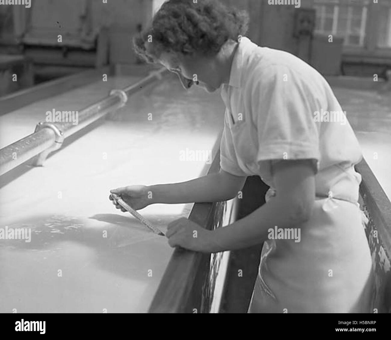 Cheese making at the United Dairies Creamery in Ellesmere. The creamery ...