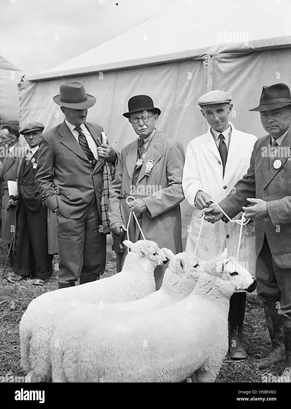 Royal Welsh Show Black and White Stock Photos & Images - Alamy