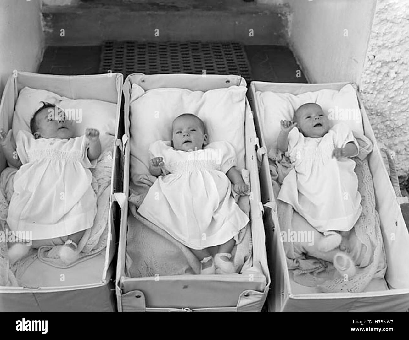 A photograph or historical reference to triplets born within twelve ...