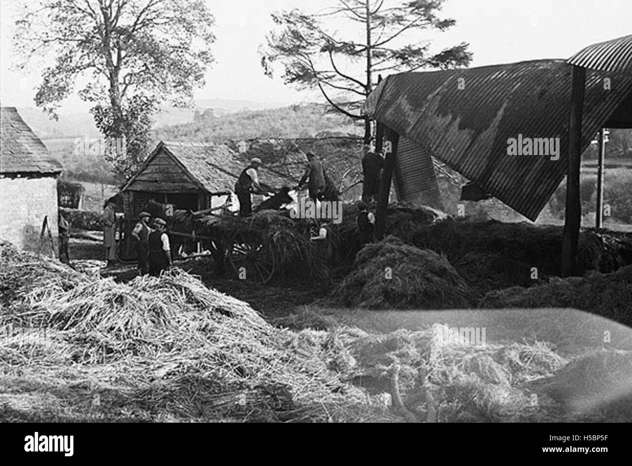 Photograph depicting the aftermath of a fire at Tanllan Farm in ...