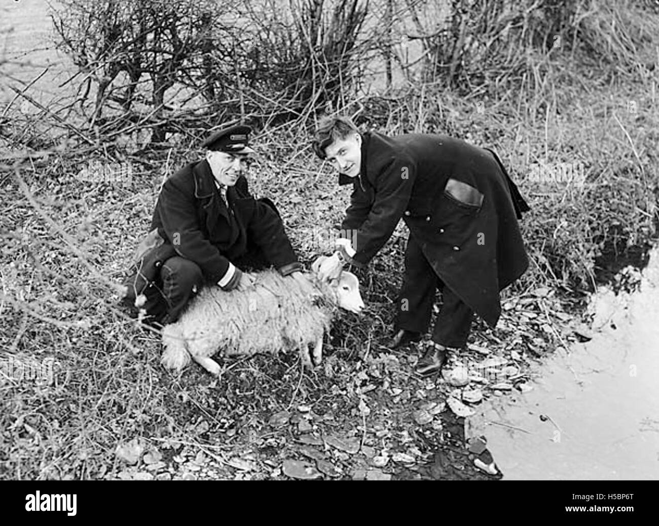 Conductor y conductor Black and White Stock Photos & Images - Alamy