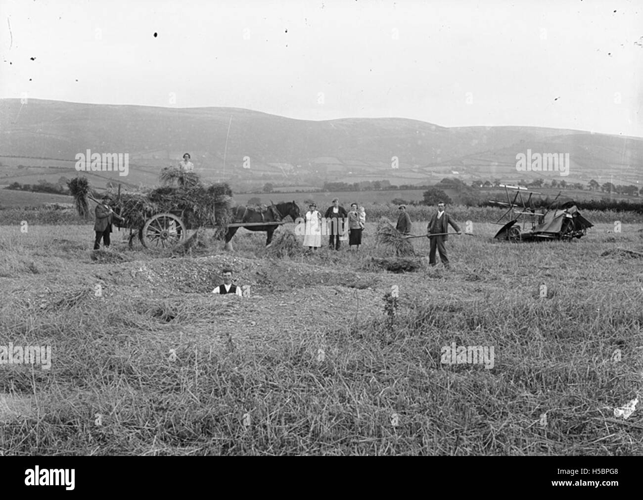 Haymaking historic hi-res stock photography and images - Alamy