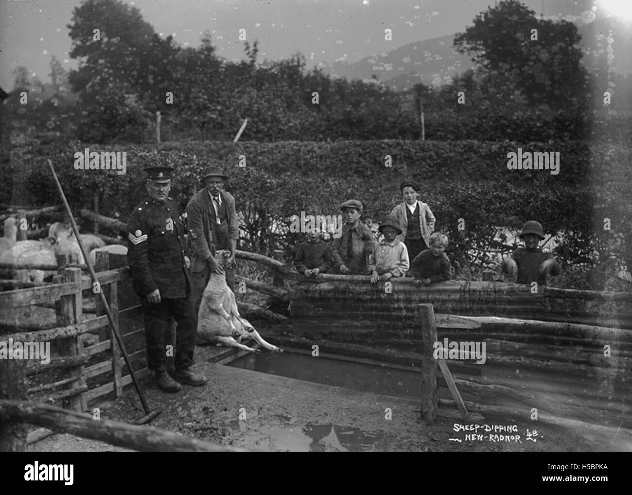 New treat Black and White Stock Photos & Images - Alamy