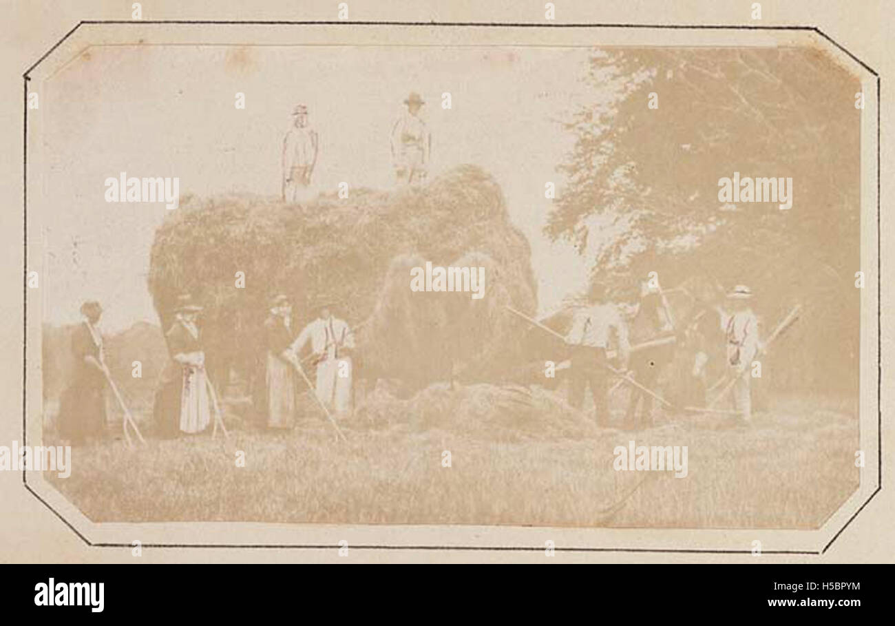 Haymaking historic hi-res stock photography and images - Alamy