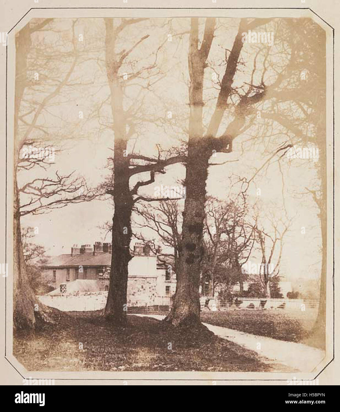 Penllergare hi-res stock photography and images - Alamy