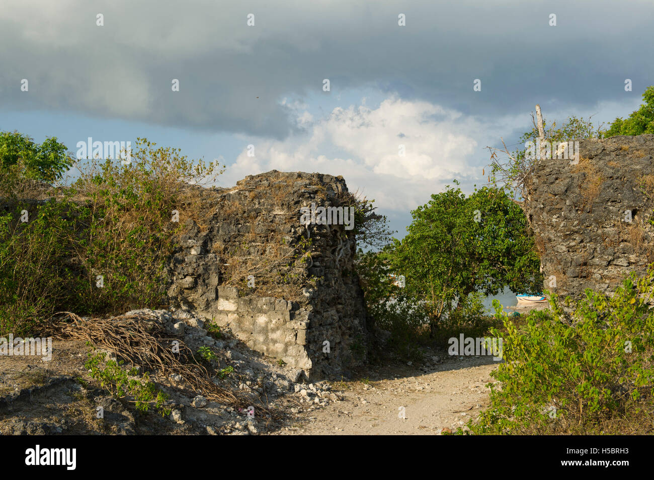 Ruins of Urundi Fort, built by the Portuguese, Kayts, Jaffna Peninsula ...