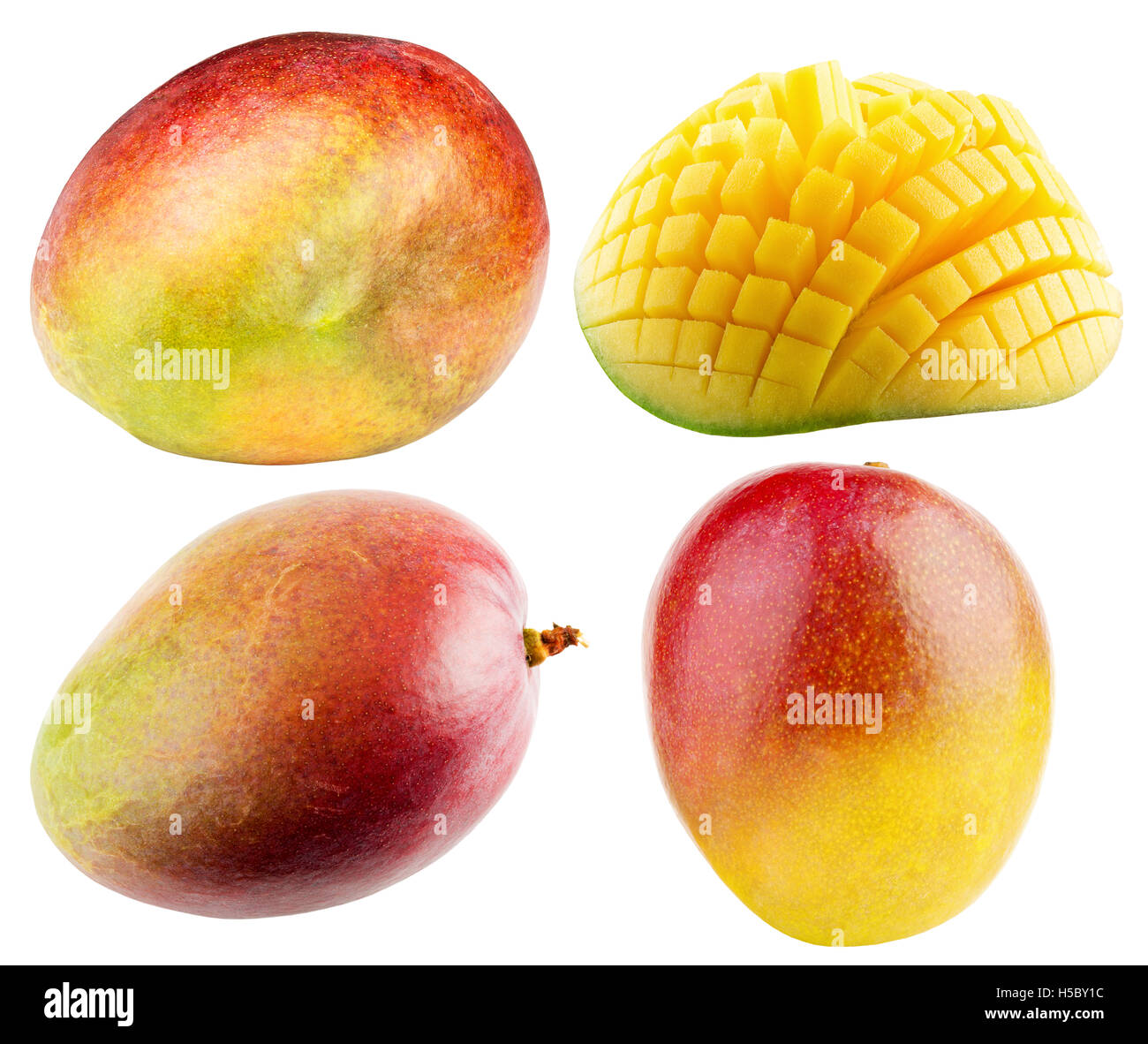 collection of mango isolated on the white background Stock Photo - Alamy