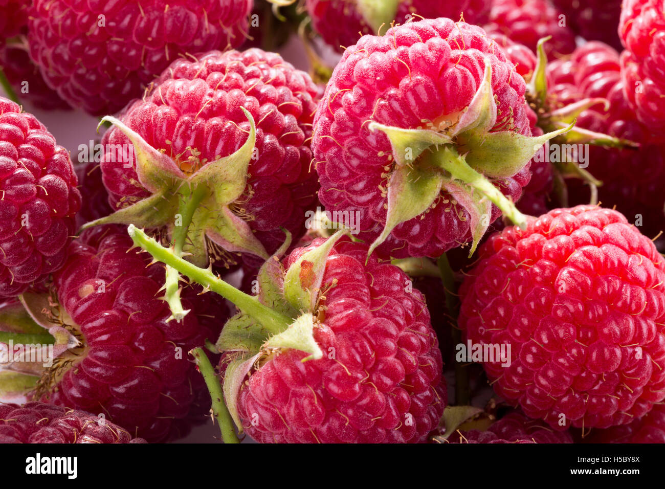 Close up ripe raspberries branch hi-res stock photography and images ...
