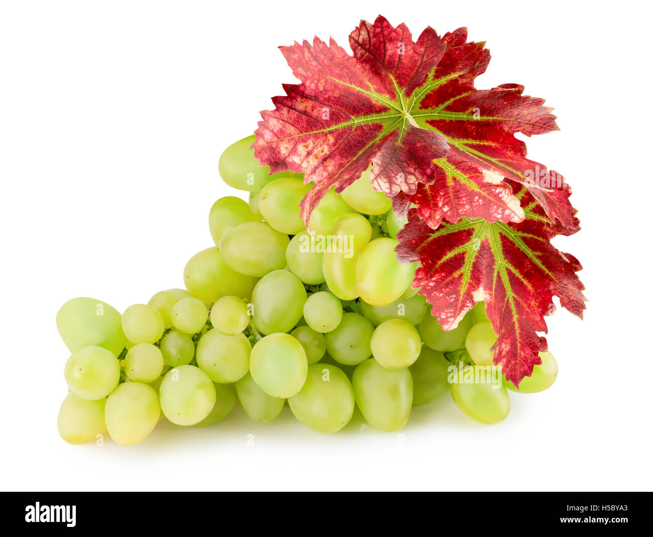 green grapes isolated on the white background Stock Photo - Alamy