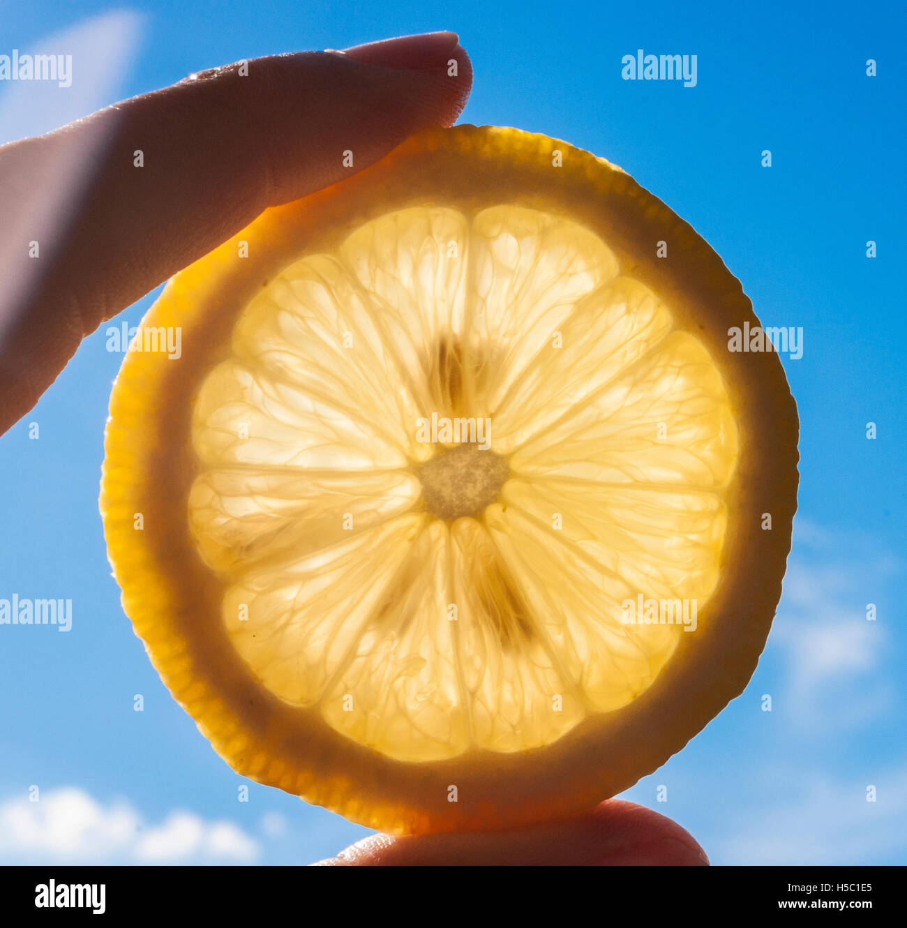 Lemon slice being held up to the sun Stock Photo - Alamy