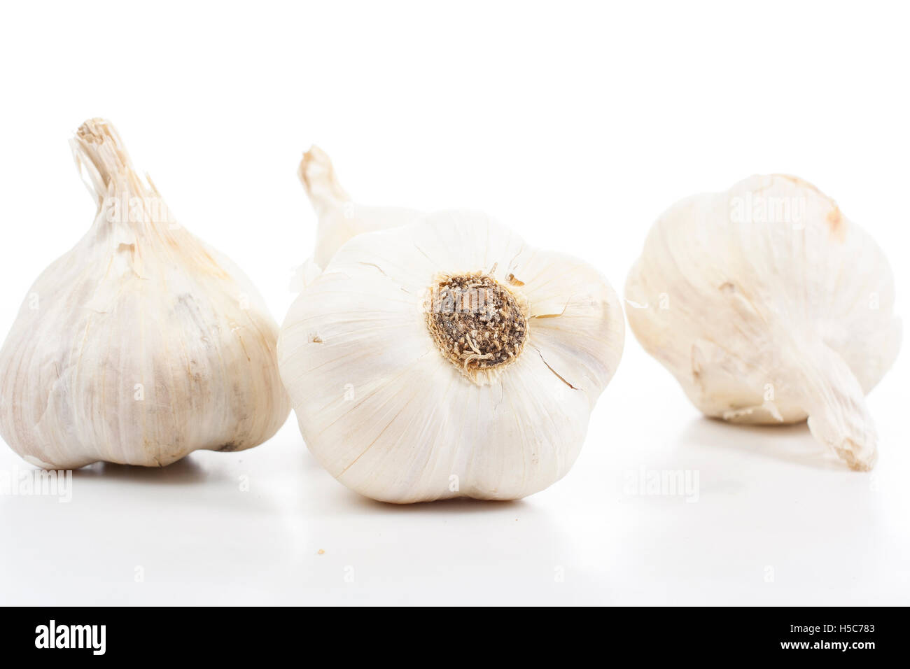 Garlics in studio. Garlic is one of the most powerful natural medicine ...