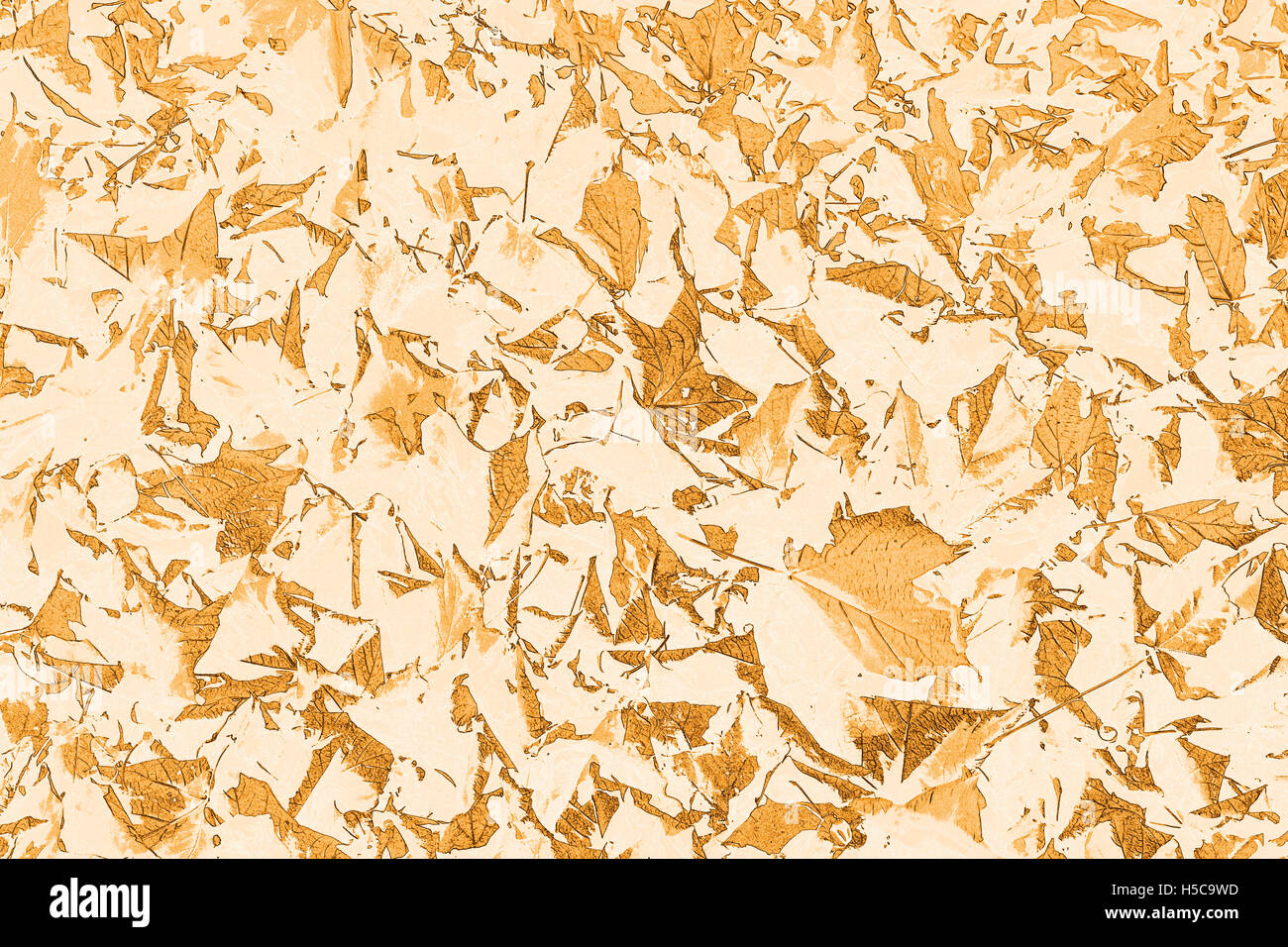 Abstract orange-brown background of crunchy autumn leaves Stock Photo ...