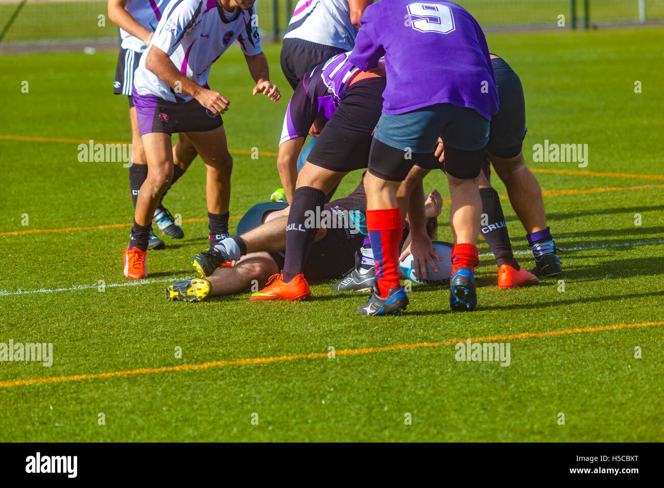 male adult rugby match Stock Photo - Alamy