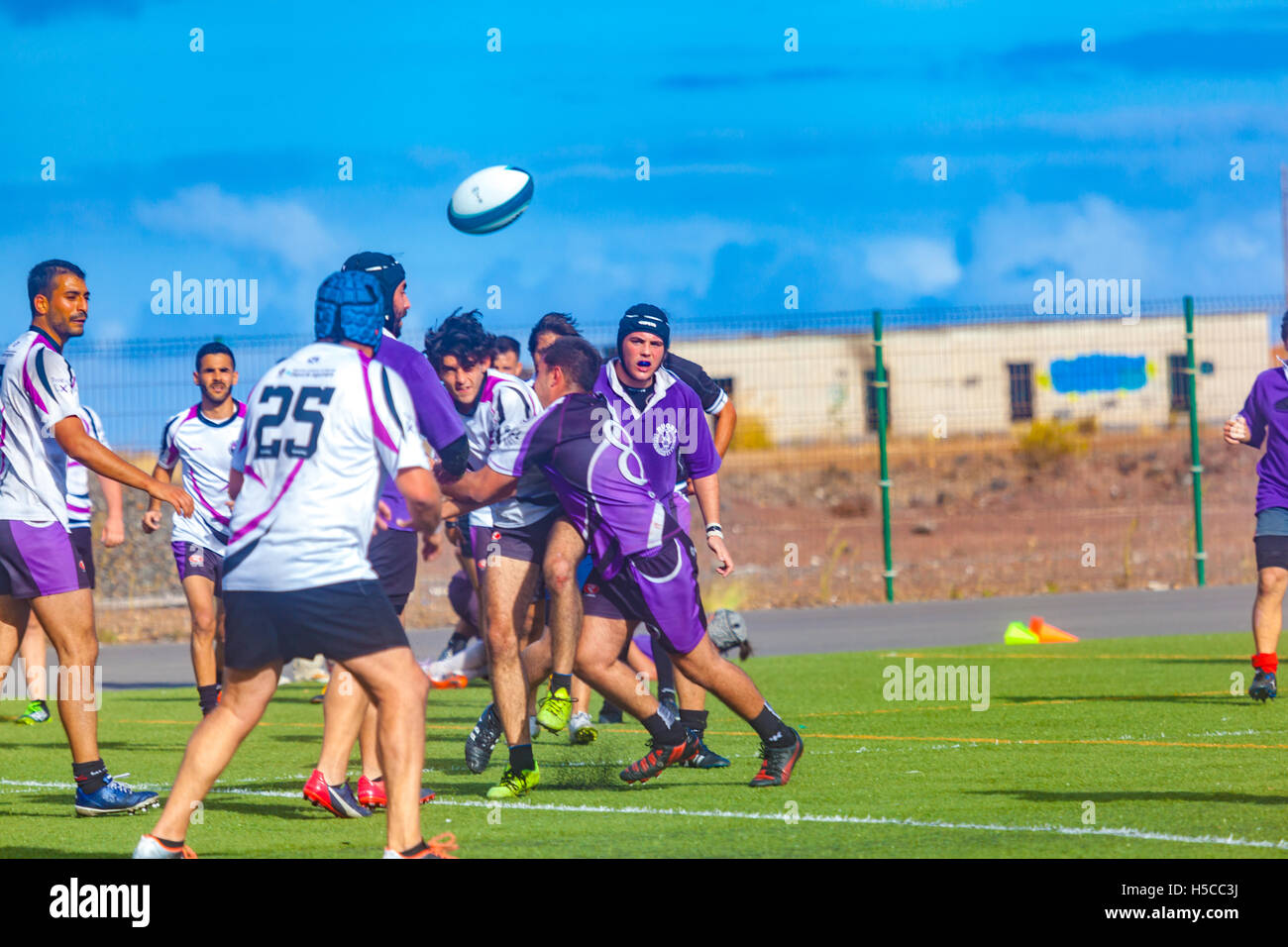 male adult rugby match Stock Photo - Alamy