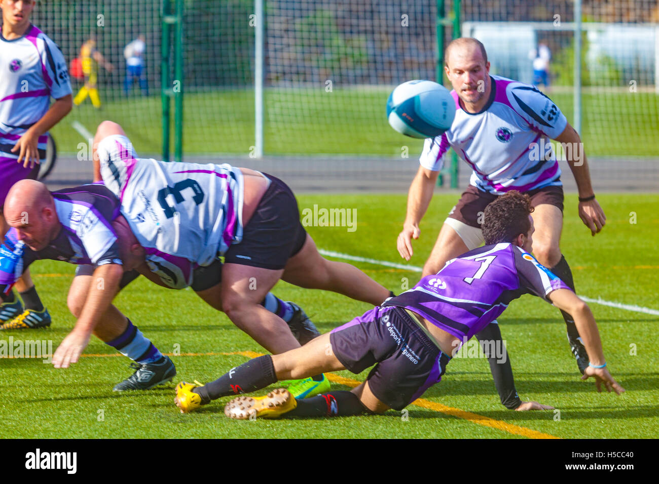 male adult rugby match Stock Photo - Alamy