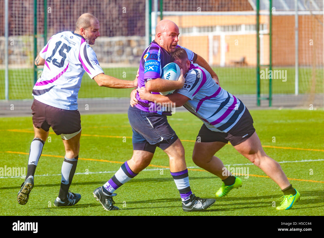 male adult rugby match Stock Photo - Alamy
