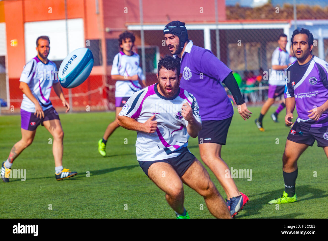 male adult rugby match Stock Photo - Alamy