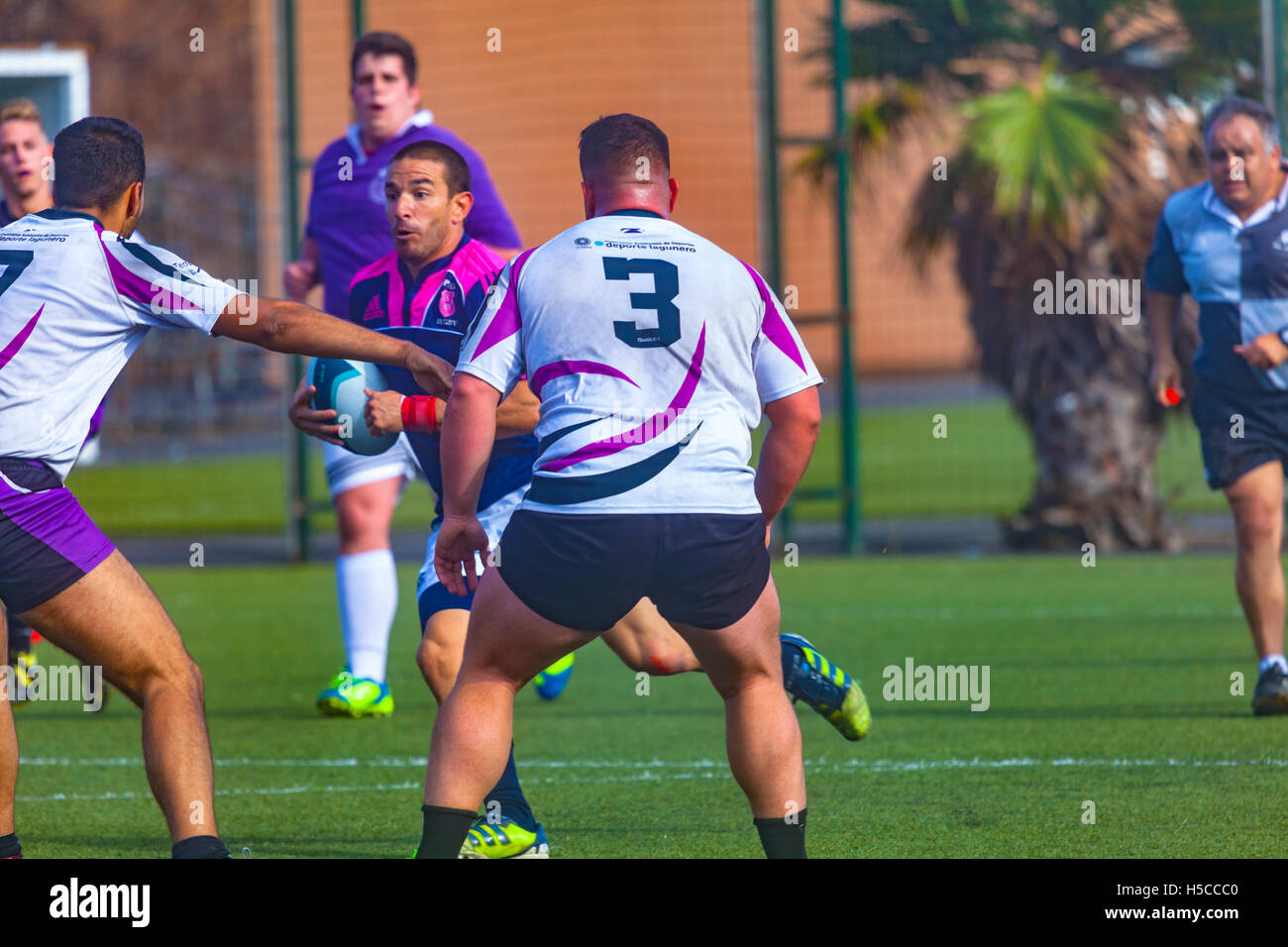 male adult rugby match Stock Photo - Alamy