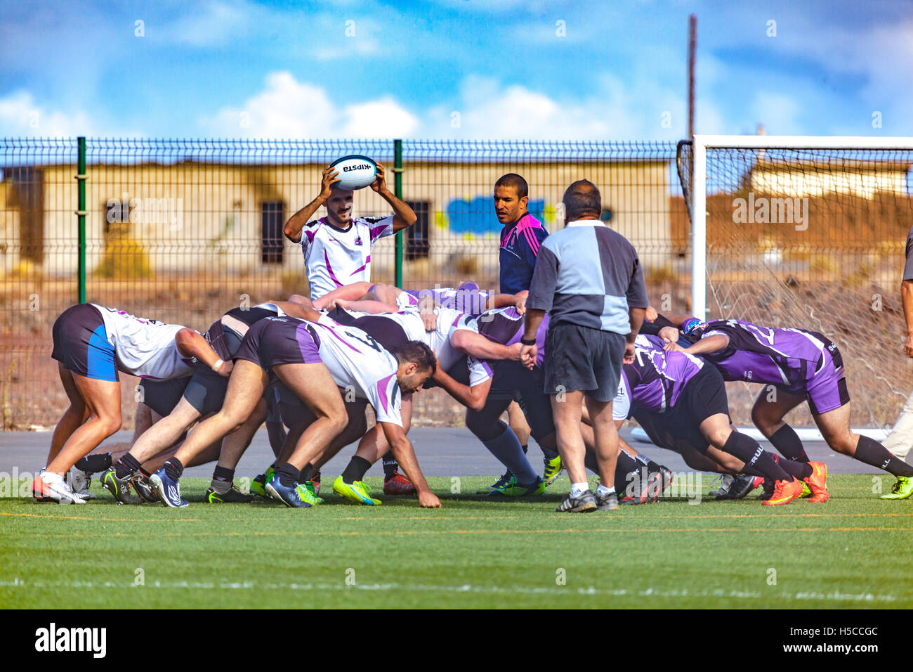 male adult rugby match Stock Photo - Alamy