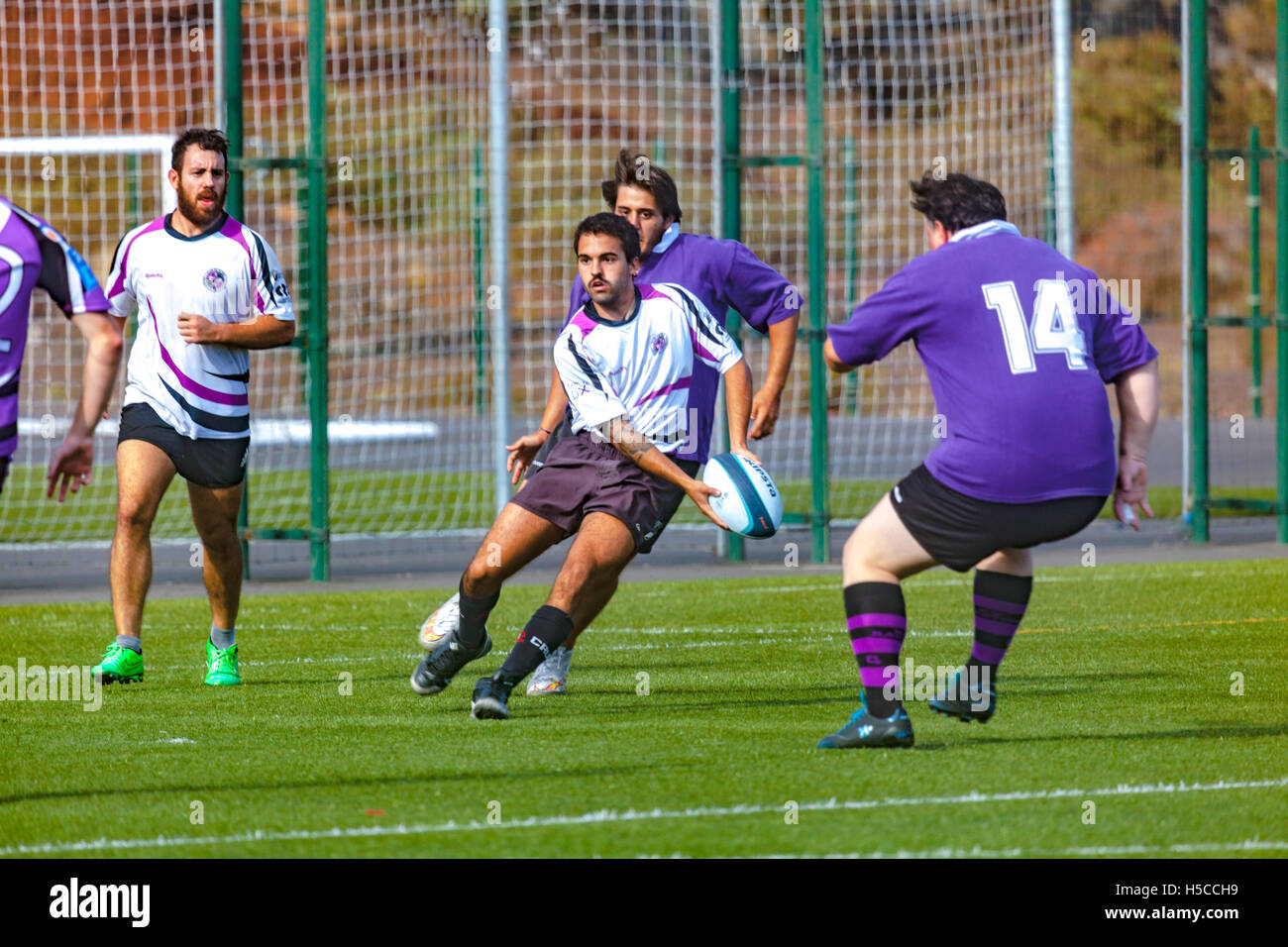 male adult rugby match Stock Photo - Alamy